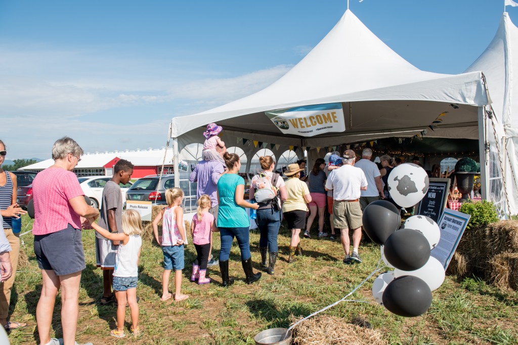 Free Farm Tours in Vermont