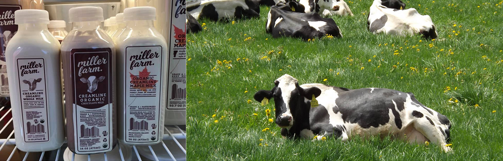 Primed for the Future: Miller Farm Builds Healthy Soils, Produces ...